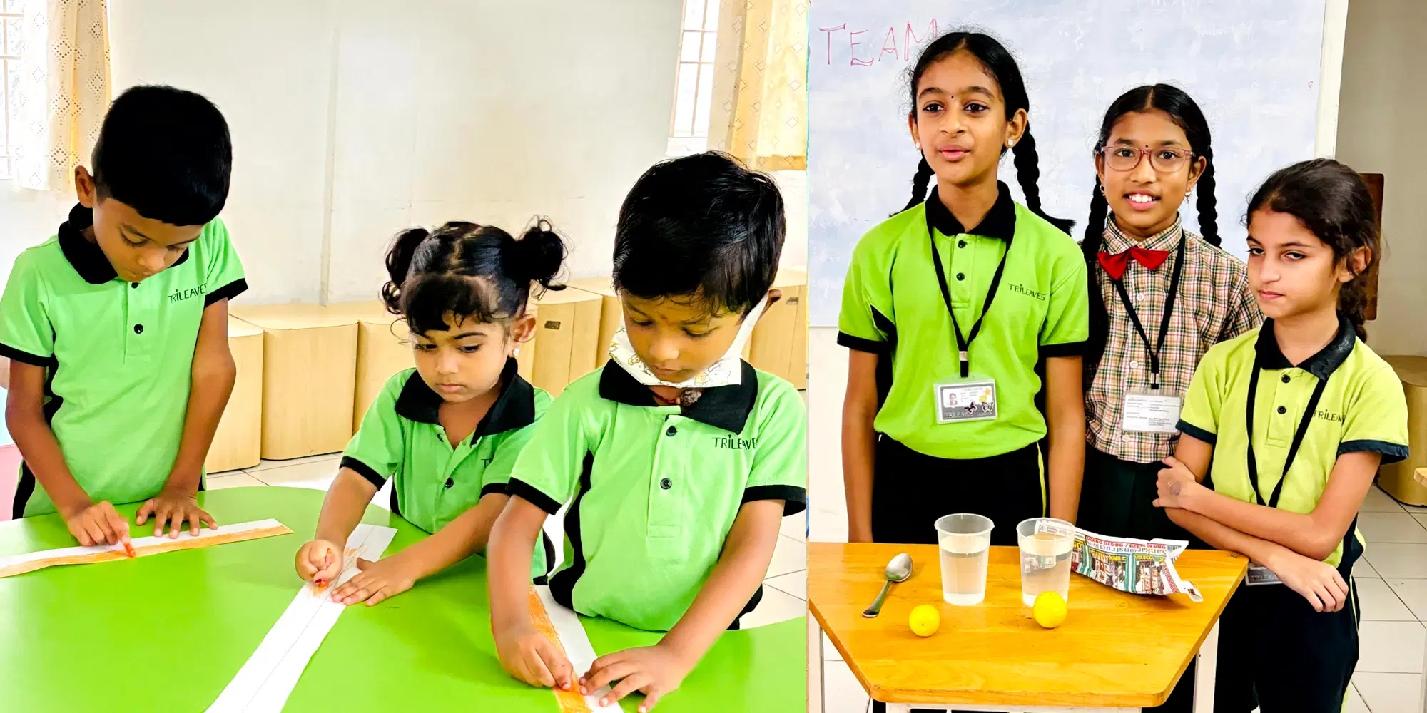 Best CBSE and Cambridge School in Chennai | Trileaves